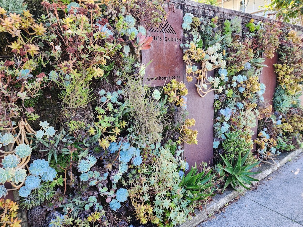 Karen and Kim’s trip to New Zealand – Starship Travel